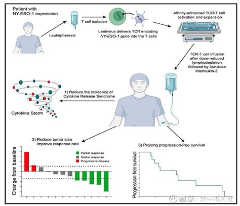 香雪制药 Sz300147 Tcr T细胞治疗 国内首款tcr T细胞疗法获得突破性治疗，有望针对实体瘤患者相较于 雪球