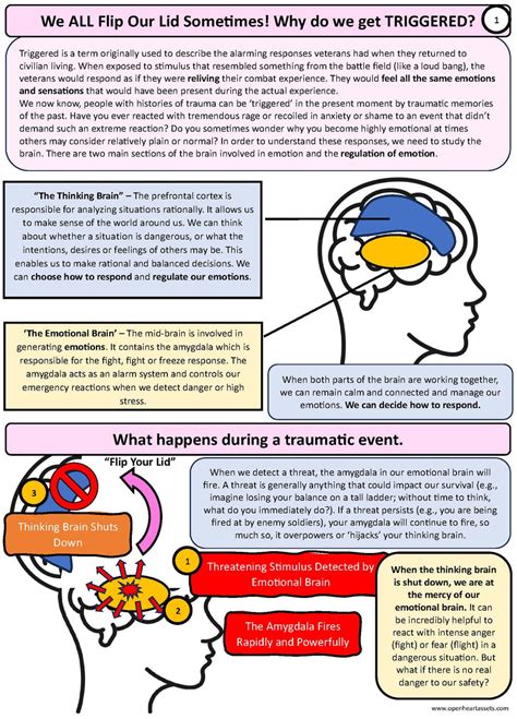 Why Do We Get Triggered Pdf Version Based On Clinically Validated