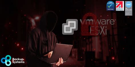 VMware ESXi At Risk Is Yours Backed Up Backup Systems