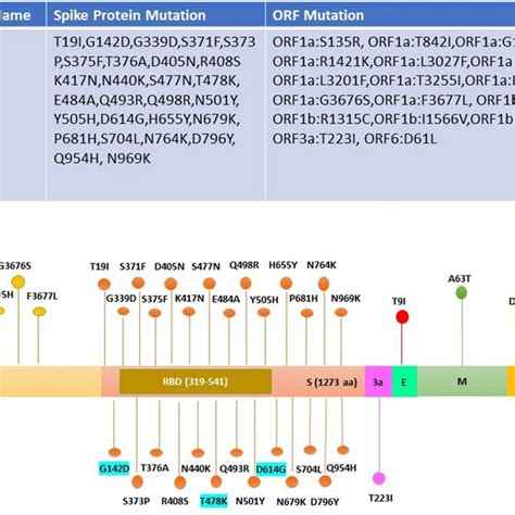 Representation Of Mutations Observed Within 75 Samples Of The Omicron Download Scientific