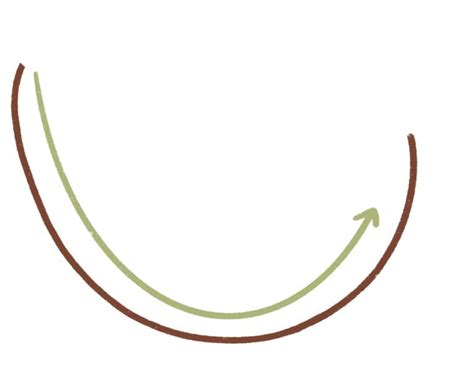 How To Draw A Cute Shark Draw Cartoon Style