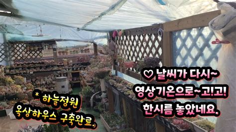 겨울 영하추위 간만 살짝 봣네요ㅋㅋ♥ 예행연습햇다~ 생각하시고 다가올겨울 대비 철저히하기로해요아자~옥상다육 옥상하우스