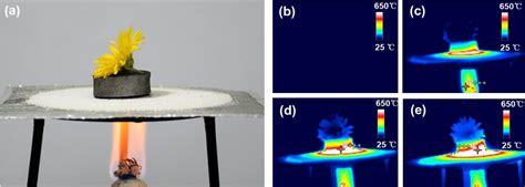 Figure 1 From Three Dimensional Graphene Hybrid Sio2 Hierarchical Dual