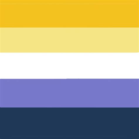 Non Binary Aroace Flag