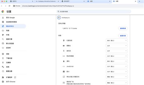Chrome版本更新，带来全新标签和网站权限管理功能chrome新标签页自定义 Csdn博客