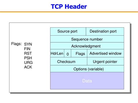 ppt tcp ip powerpoint presentation free download id 142234