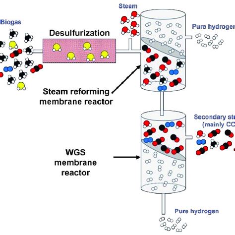 Typical Setting For Biogas Steam Reforming Through Membrane Reactors