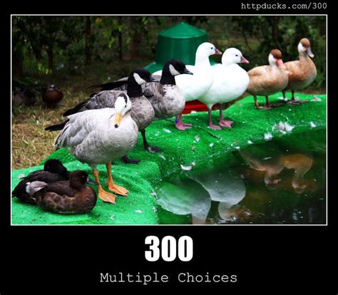 Status Ducks API A Duck Image For Every Status Code
