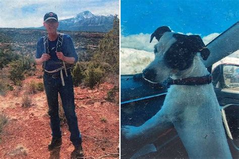 Нас барсан эзнийхээ цогцосыг орхиж чадалгүй хоёр сар манасан нохой