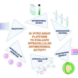 Schematic Flow Chart Of The Proposed Assay Platform To Define Optimal Download Scientific