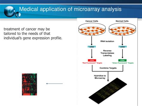 Ppt Microarray Technology Powerpoint Presentation Free Download Id9470694