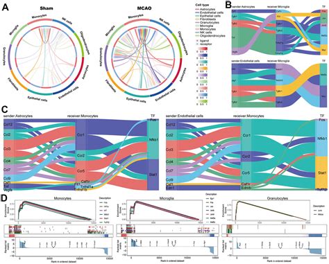 Integrative Analysis Of Single Cell And Bulk Rna Sequencing Unveils The Senescence Landscape In