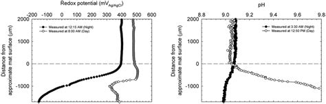 Redox Potential A And Ph B Depth Profiles Entering The Upper Download Scientific Diagram