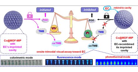 A Versatile Visual Molecular Imprinting Driven Switchable Nanozyme Activity Based Trimodal Assay