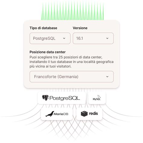 Hosting Di Database Per Tutti I Tuoi Progetti Web Kinsta®