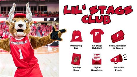 2025 26 Lil Stags Club Registration Now Open Fairfield University