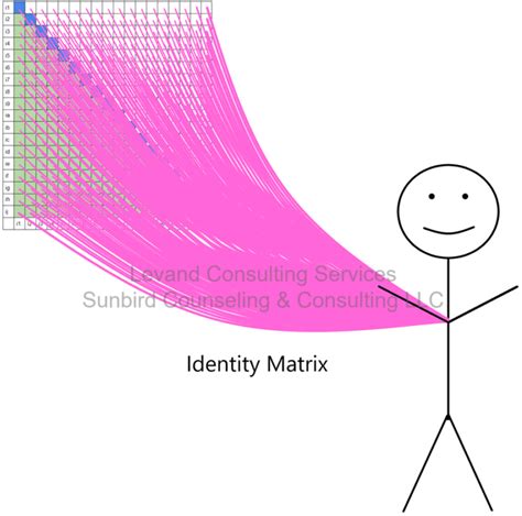 Identity Matrix Mark Levand Phd Cse S