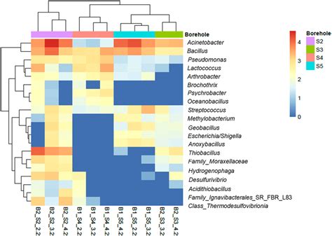 Heatmap Of The 20 Most Abundant Genera Samples Are Ordered Using Ward