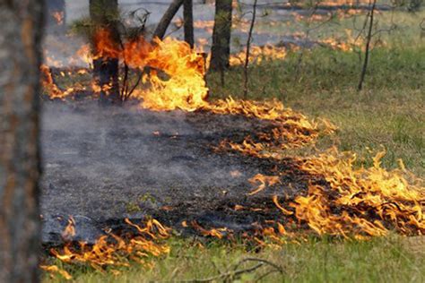 Ой хээрийн түймрээс урьдчилан сэргийлэхийг анхаарууллаа