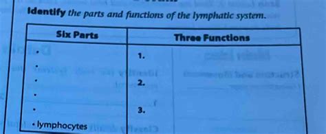 solved identify the parts and functions of the lymphatic system [biology]