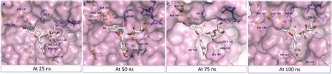 Ligandprotein Complex Conformations By Compound 1 Through Selected