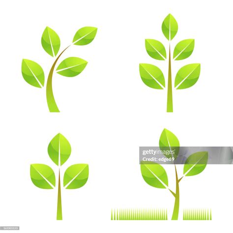 Tree Elements High Res Vector Graphic Getty Images