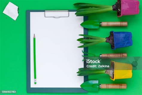 원예 도구와 녹색 배경에 히아신스 꽃의 냄비와 상단 보기 메모장 봄 정원 개념 갈퀴에 대한 스톡 사진 및 기타 이미지 갈퀴 개체 그룹 고름 Istock