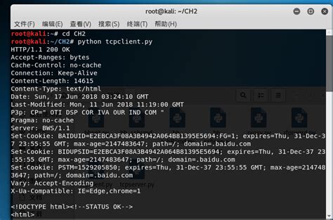 2017 2018 2 20179204 Python黑帽子 黑客与渗透测试编程之道 Csdn博客 2017 2018 2 20179204 Python黑帽子 黑客与渗透测试编程之道 Csdn博客
