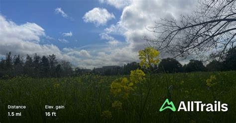 Cuesta Park Loop California 63 Reviews Map Alltrails
