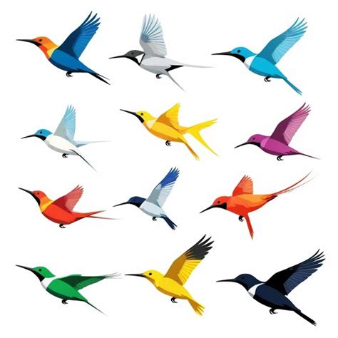 Release Vector Set White Background Isolated A High Quality Premium