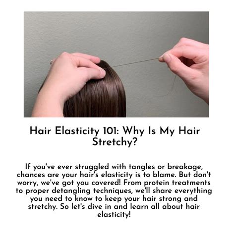 Hair Elasticity Types At Indiana Brownless Blog