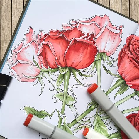 Рисунки на весь лист а4 маркерами