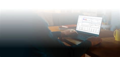 Download Exness Mt5 Trading Platform Free For Pc And Mac