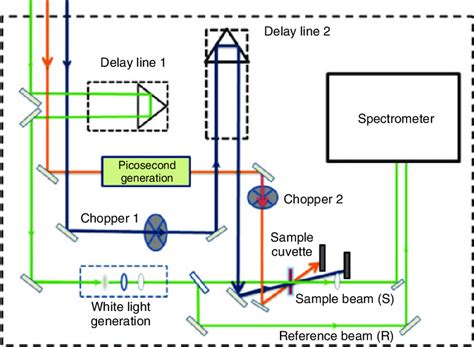 Experimental Set Up For Ultrafast Detection Of Transient Species Both