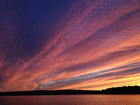 Photography Webcrumbs