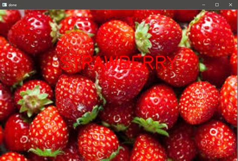 realtime object detection using yolo and opencv by shantam sultania