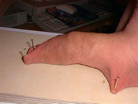 Nailing My Cock To Board 10 Pics Xhamster