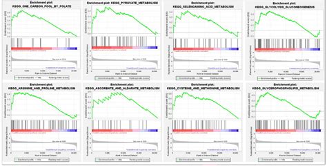 Pathway Enrichment Analysis And Visualization Of Omics Data Using Gene