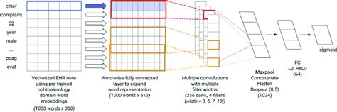 Deep Learning Model Architecture Relying On Only Free Text Clinical Download Scientific Diagram