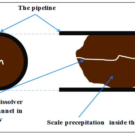 Schematic Diagram Shows The Action Of The New Dissolver Against The