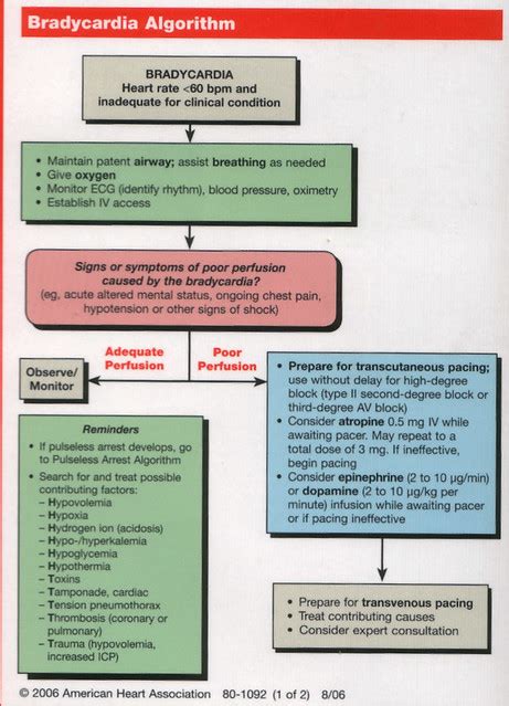 Acls Pacing Algorithm