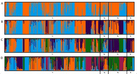 7 7 Structure Results Indicating The Proportional Membership Download Scientific Diagram