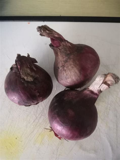 Onion - Sibuyas (1 kilo), Food & Drinks, Fresh Produce on Carousell