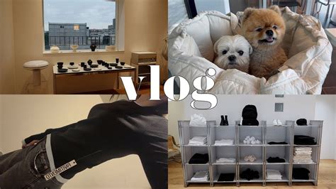Vlog쇼핑일상브이로그더현대서울아펙타 종로 쇼룸강아지랑 찻집🍵보이생차위가 부어도 빵이랑 떡볶이 포기 못해 Youtube