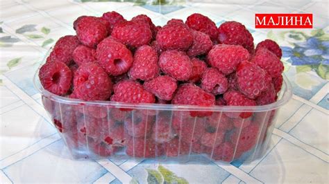 Малина Raspberry Jam Youtube
