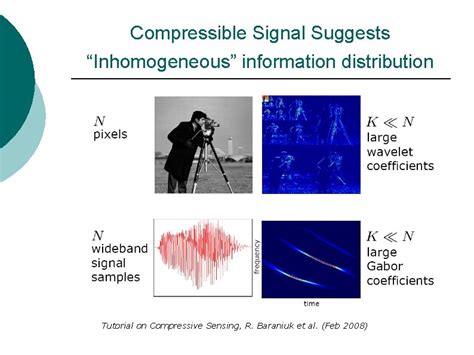 Compressed Sensing A Magnetic Resonance Imaging Perspective D