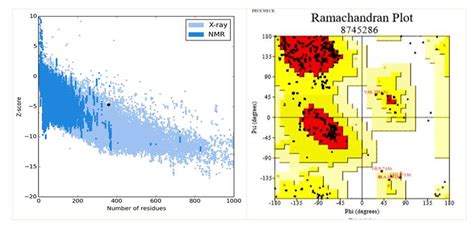 Validation Of 3d Final Vaccine Model A Prosa Showing Z Score 47