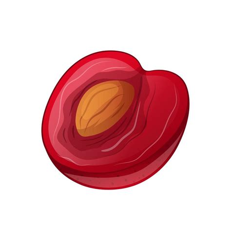 Cherry Pit Cartoon Vector Illustration 17420485 Vector Art At Vecteezy