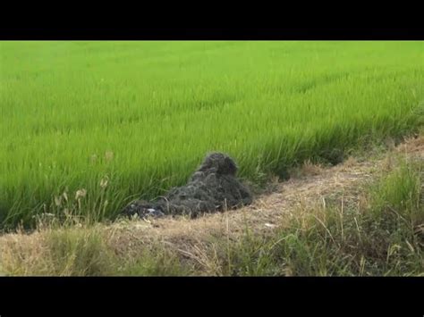 Police Deploy Military Style Tactics To Apprehend Sexual Assault Suspect YouTube