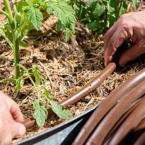 Toro 13mm X 50m Drip Eze Drip Tube Bunnings Australia